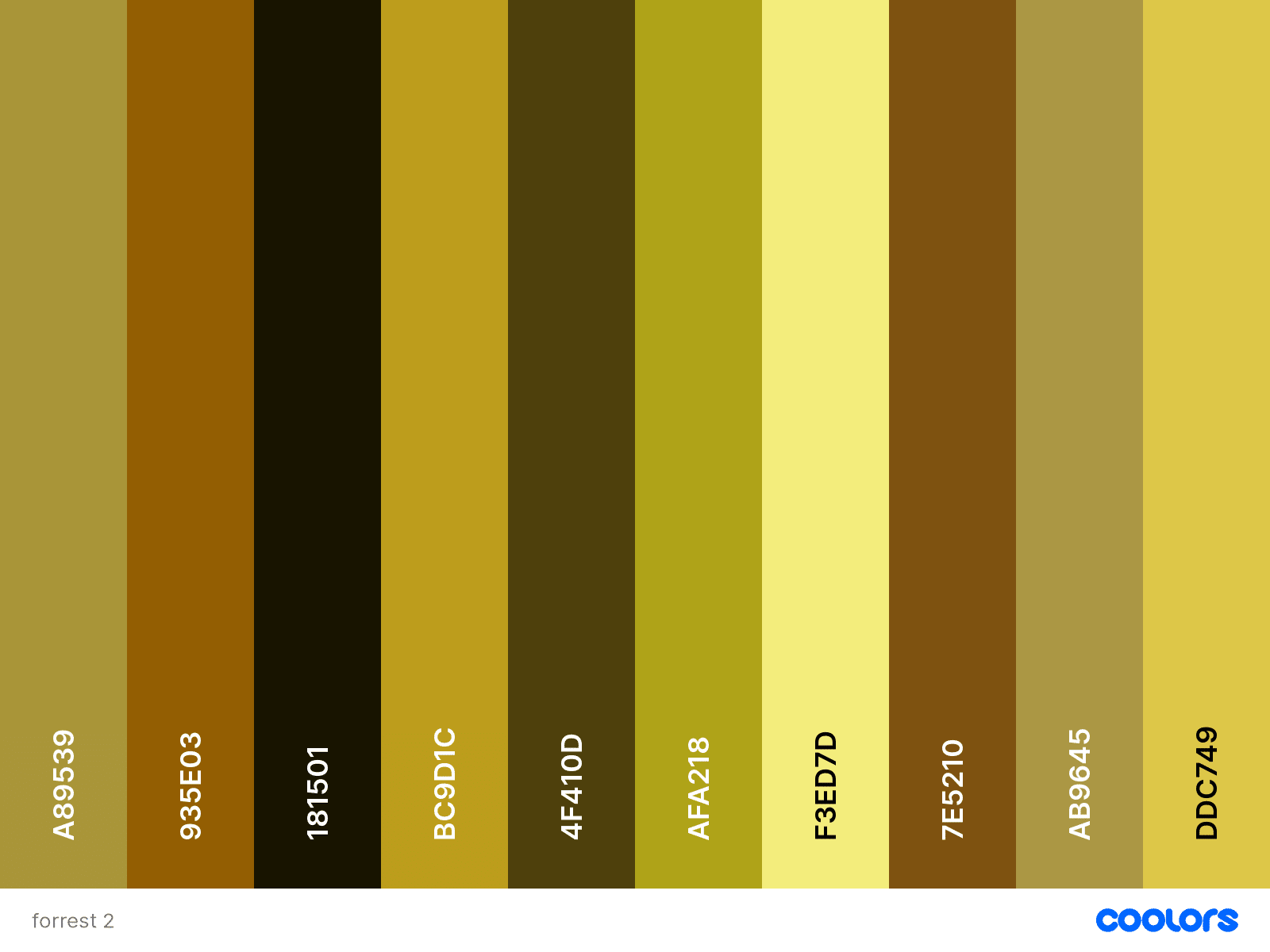 Finding Inspiration for Color Palettes - Creative PLR