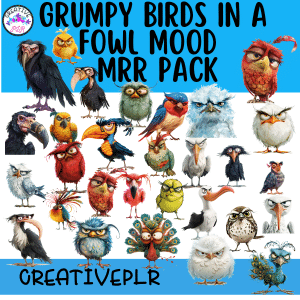 Grumpy Birds Clip Art - Creative PLR